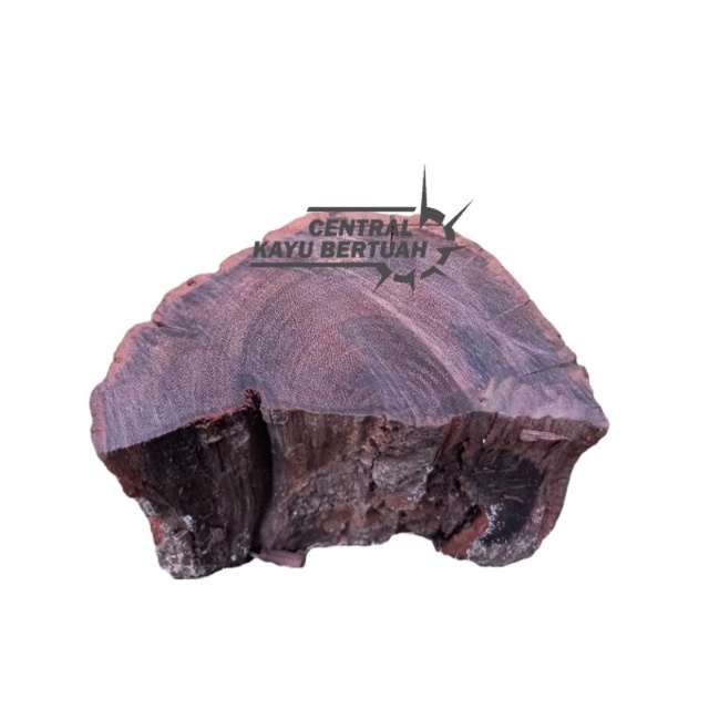 Jual bahan mentahan kayu galih asem gandul lepas kulit | Shopee Indonesia