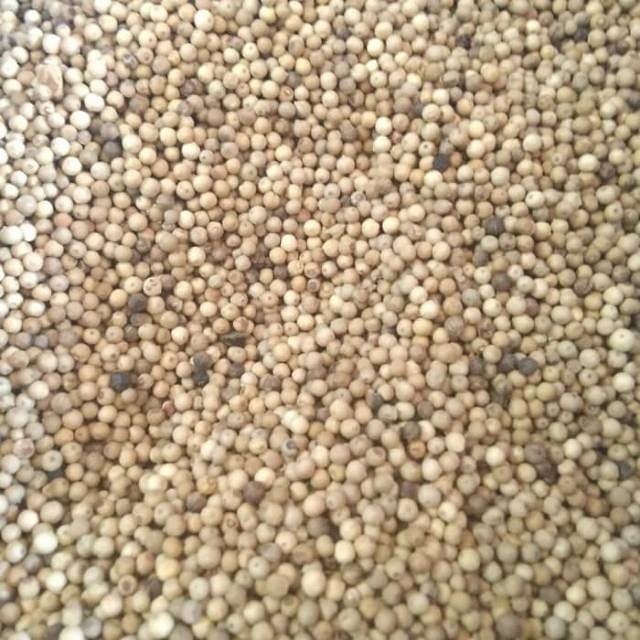 Jual merica butir lada kemasan hemat pasar online makassar | Shopee ...