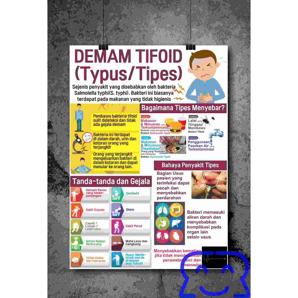 Jual Poster kesehatan Demam Tifoid ukuran A3+ dan poster kesehatan ...