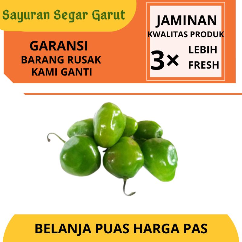 Jual Cabe Bendot Hijau Super Segar Fresh Murah 250gr by Sayuran Segar ...