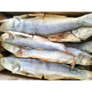 Jual Ikan Kuro Terlengkap & Harga Terbaru Juli 2024 | Shopee Indonesia