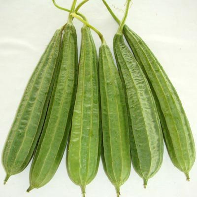 Jual Labu Oyong / Labu Gambas 500 gram | Shopee Indonesia