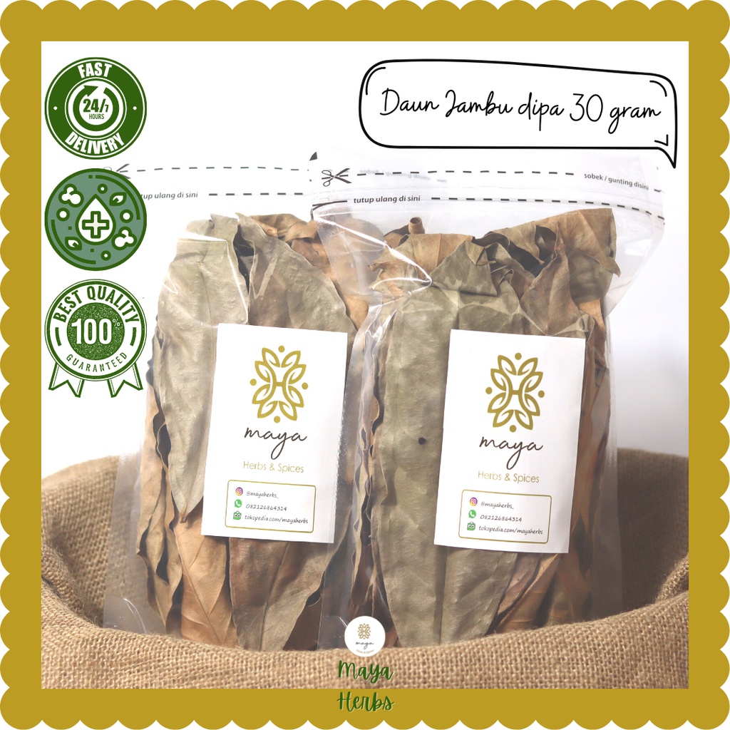 Jual Daun Jambu Dipa Kering 30 Gram ( Jambu Bol / Syzygium Malaccense ...