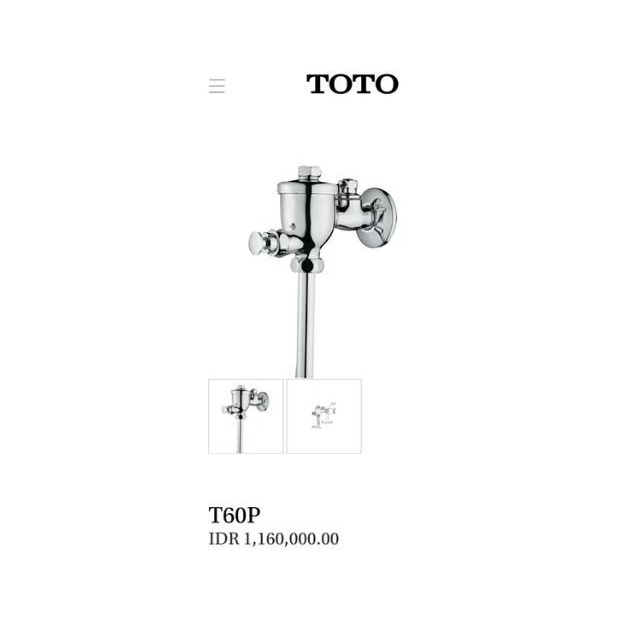 Jual TOTO T 60 P PUSH KRAN TOTO ORIGINAL | Shopee Indonesia