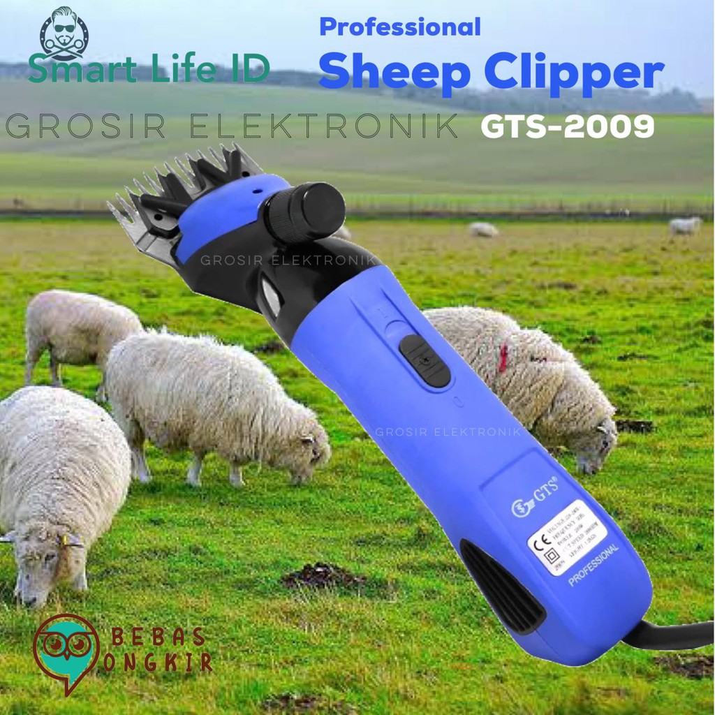 Jual Alat Cukur Bulu Domba / Mesin Pencukur Bulu Sheep Clipper Cukuran ...