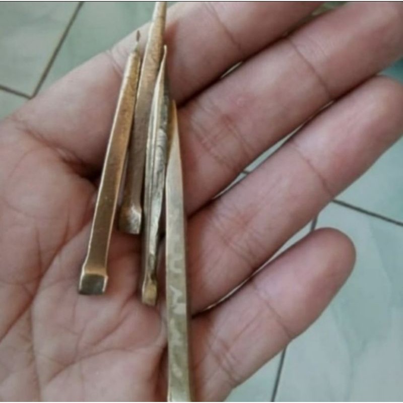 Jual Paku bumi kuningan rajah 5cm | Shopee Indonesia