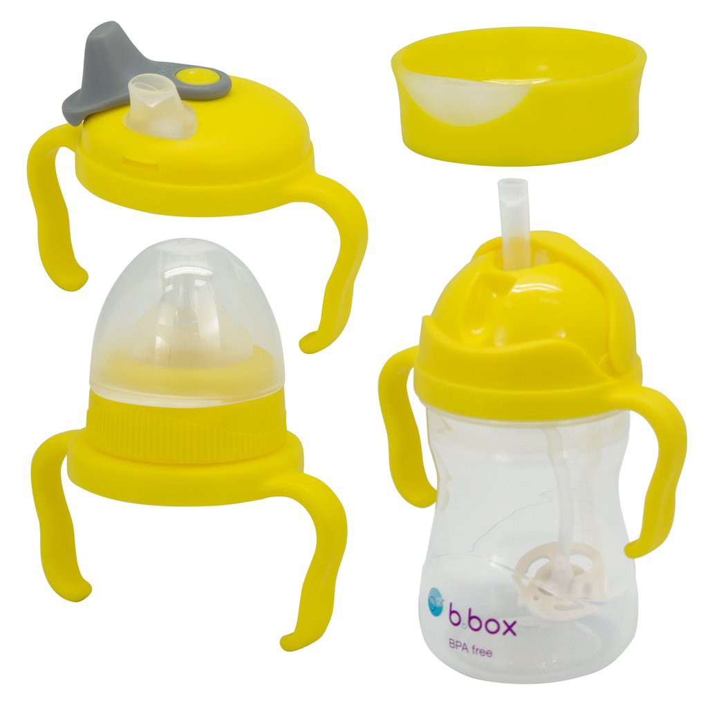 Jual B.BOX TRANSITION VALUE PACK - BBOX TRAINING CUP SIPPY CUP STRAW ...