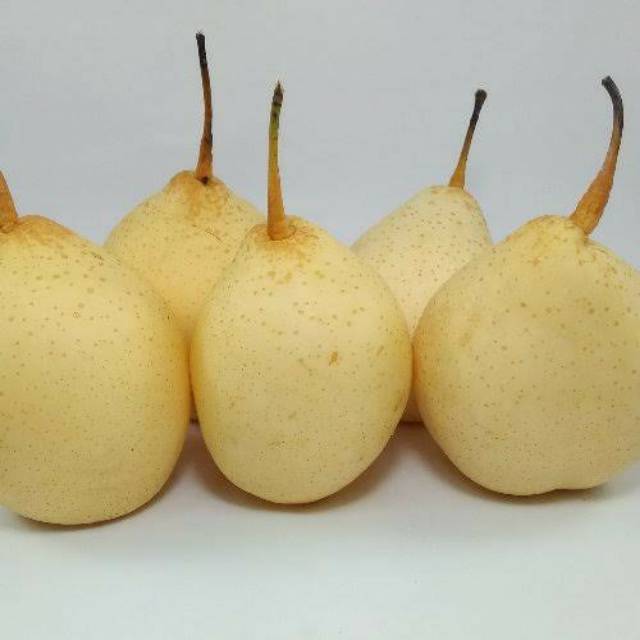 Jual BUAH PEAR MANIS biasa per 500gr | Shopee Indonesia