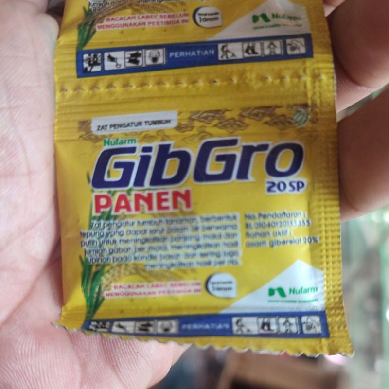 Jual GIBRO PANEN | Shopee Indonesia