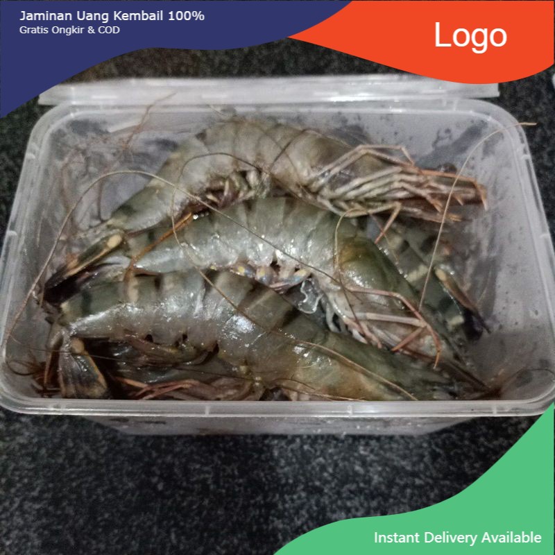 Jual Udang Pancet 500 Gram - Tiger prawn - Udang Windu - Udang Tiger ...