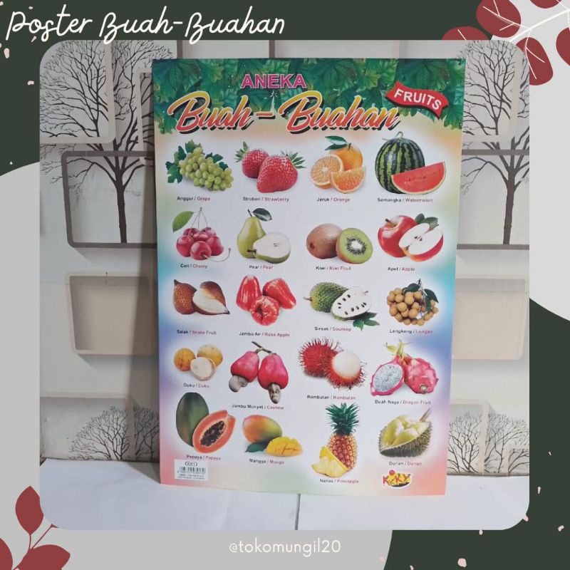 Jual Poster Mengenal Aneka Buah-Buahan Fruits | Shopee Indonesia