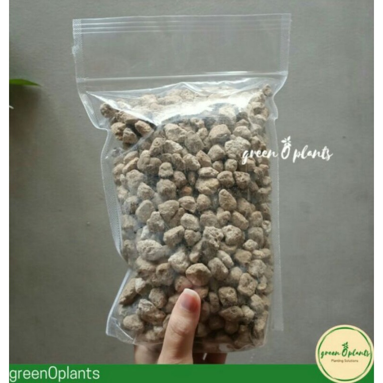 Jual Pumice Besar Batu Apung Dasar Pot Size L 1Kg | Shopee Indonesia
