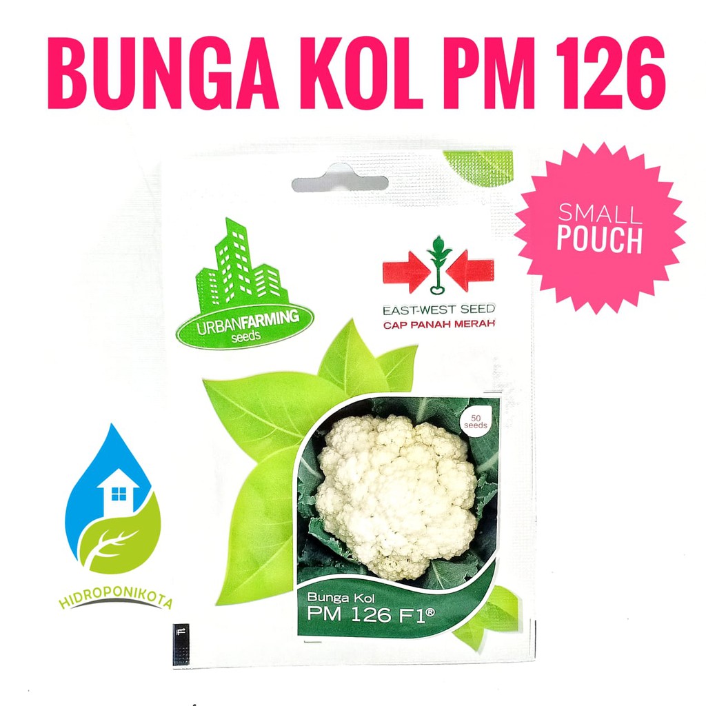 Jual UF - benih BUNGA KOL PM 126 isi 50 biji - bibit bungkol - urban ...