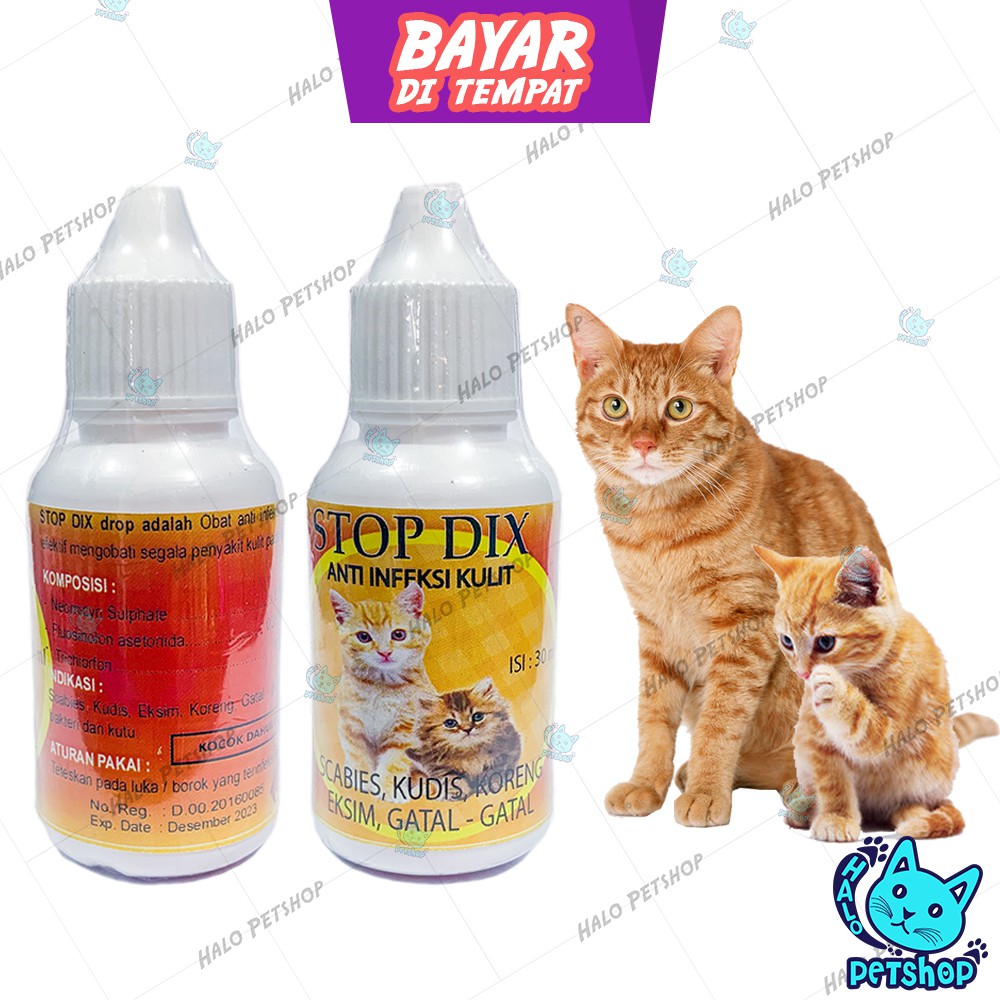Jual STOP DIX 30ml Obat Jamur Scabies Koreng Gatal Luka pada Kucing ...