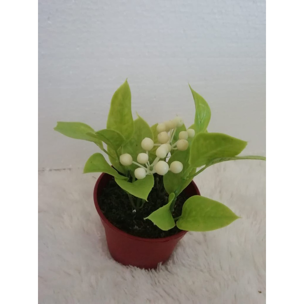 Jual rangkaian bunga var berry hias artificial import sudah termasuk ...