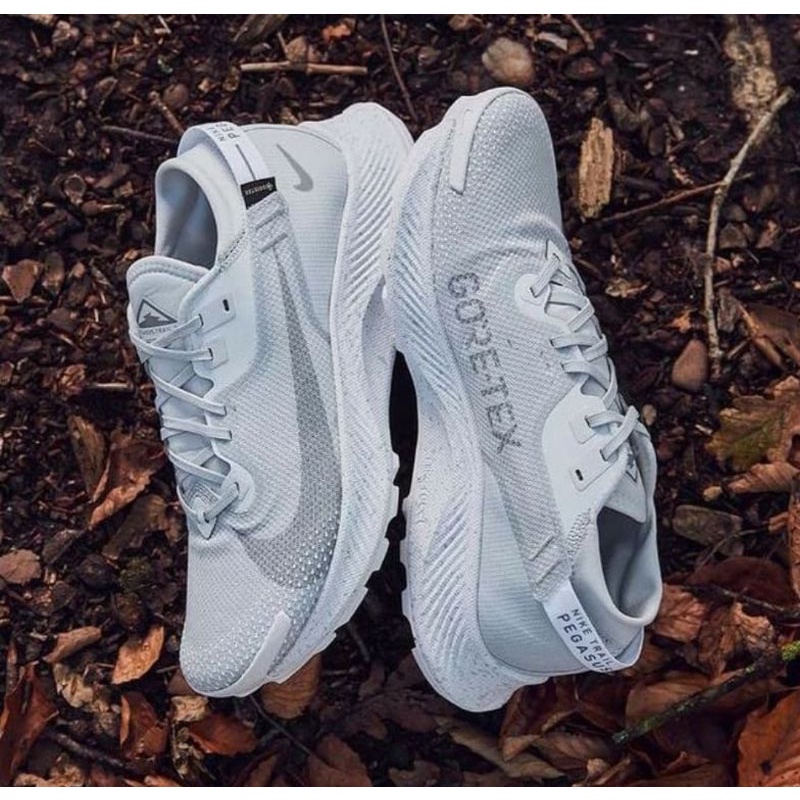 Jual Sepatu Nike Pegasus Trail 2 GORE-TEX White Grey | Shopee Indonesia