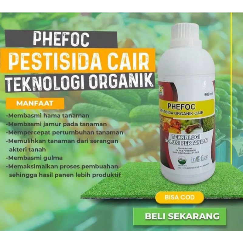 Jual PHEFOC PESTISIDA ORGANIK CAIR 500ml PEMBASMI HAMA TANAMAN | Shopee Indonesia