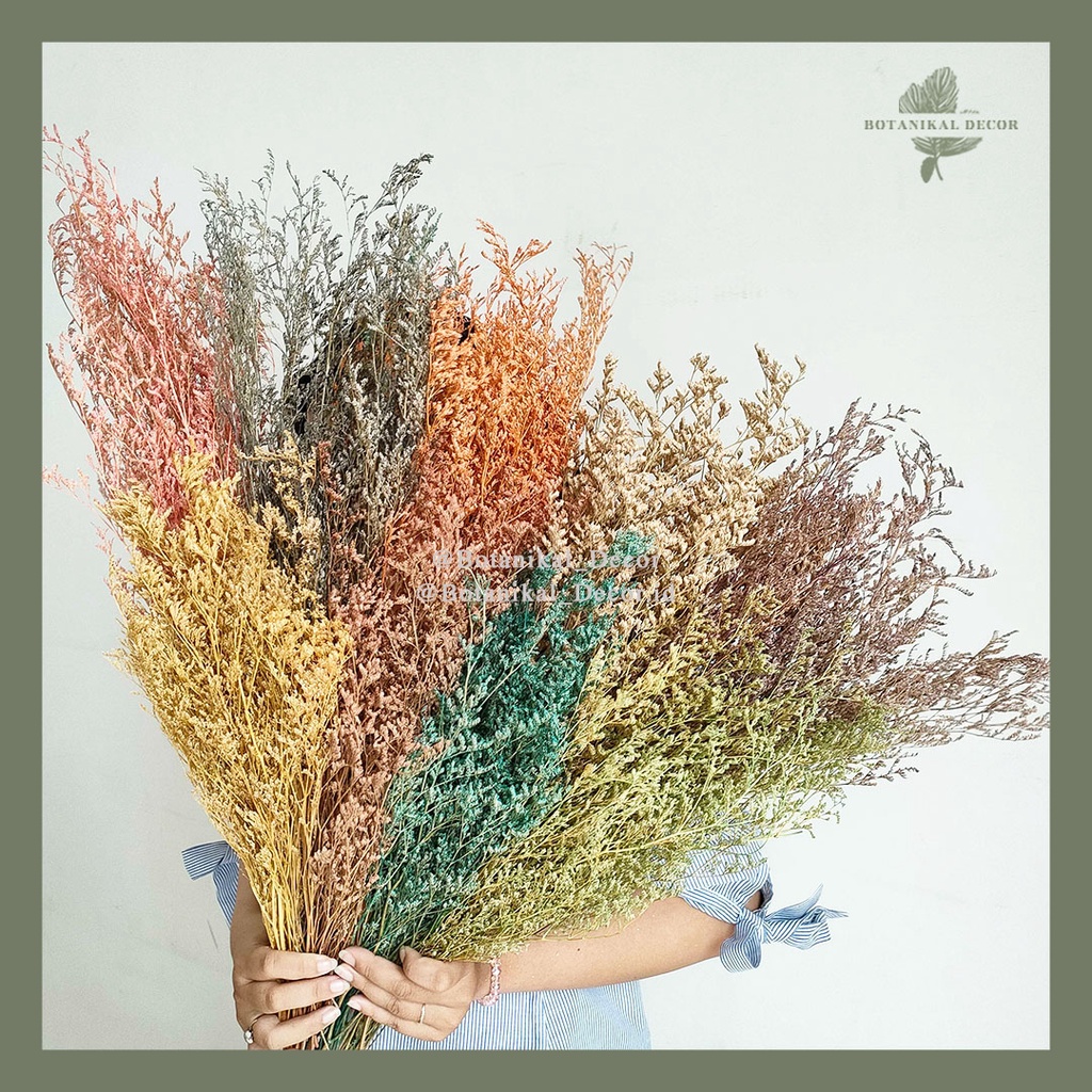 Jual Preserved Caspea Lovergrass Bunga Kering Asli Natural White Color ...