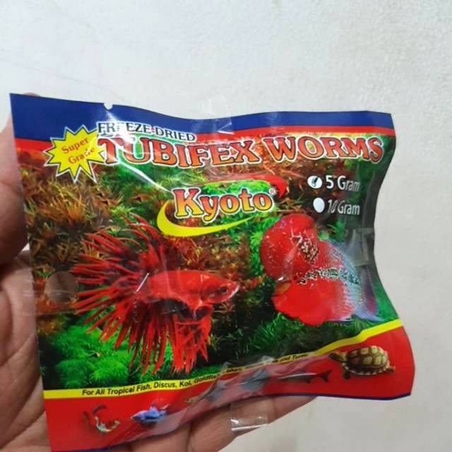 Jual Cacing kering / tubifex worm 5gr. Pakan ikan hias. Mudah dan ...