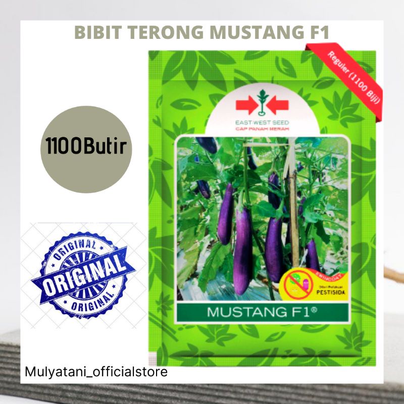 Jual Bibit Benih Terong Mustang F1 1100 Butir Original Bibit Terong Ungu | Shopee Indonesia