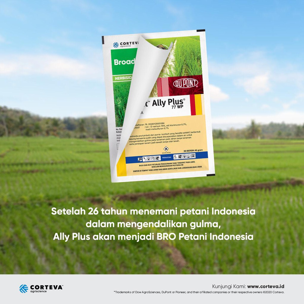 Jual DuPont Ally Plus / BroadPlus 40 gram | Shopee Indonesia