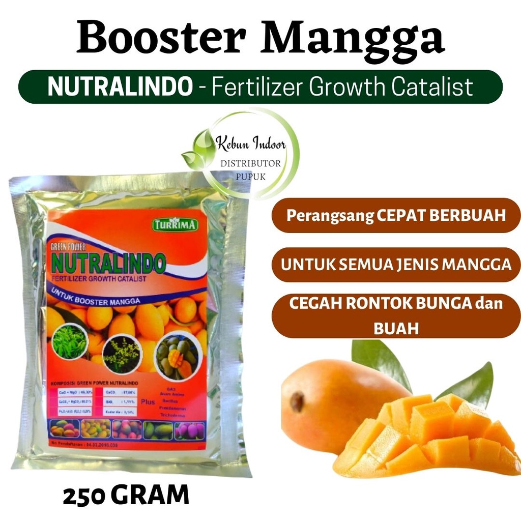 Jual Pupuk Organik Booster Mangga Merangsang Pembungaan Melebatkan Buah, Pupuk Mangga Anti ...