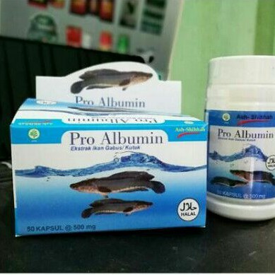 Jual PRO ALBUMIN . KAPSUL EKSTRAK ALBUMIN IKAN GABUS KUTUK | Shopee Indonesia