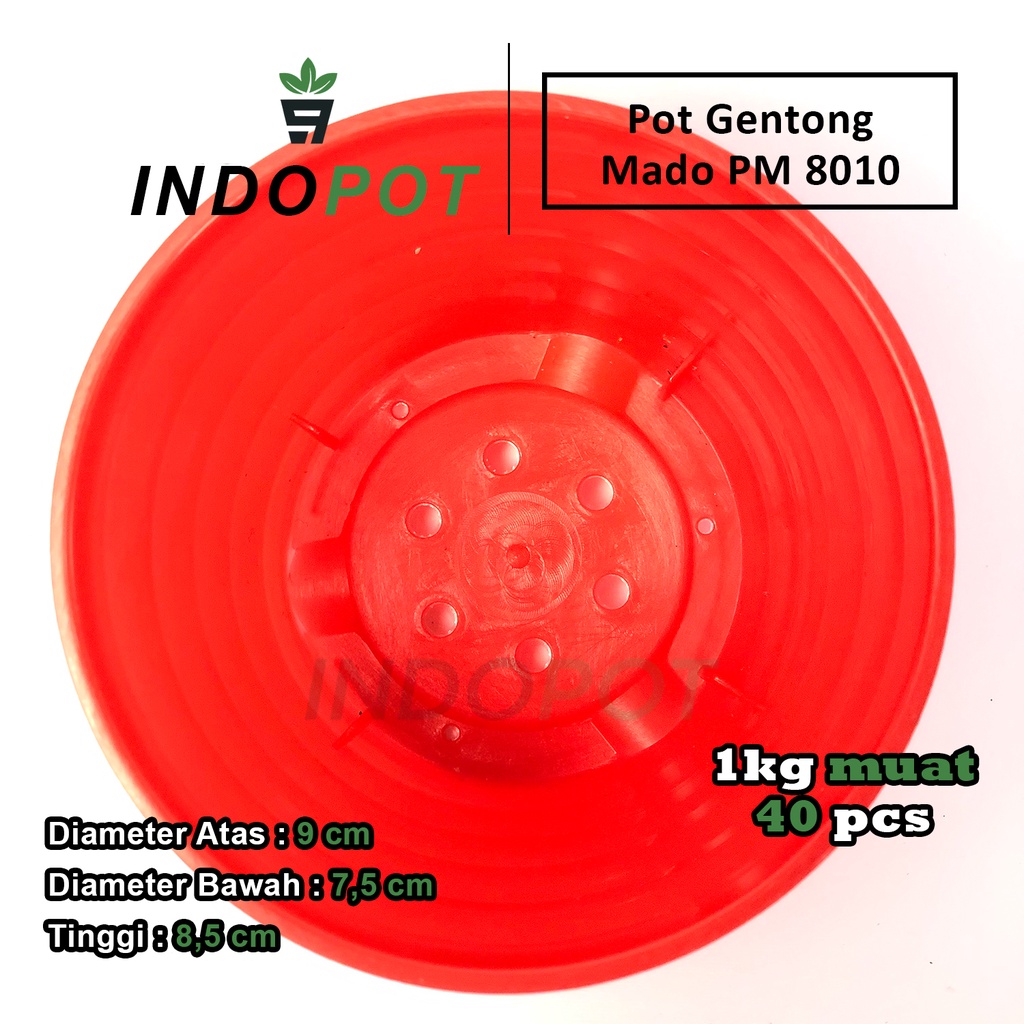 Jual Pot Gentong Mado 10 Warna-Warni - Pot Putih Bahan Plastik - Pot ...