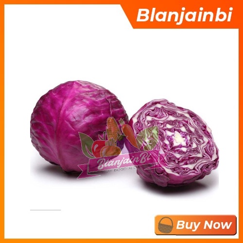 Jual Kol Ungu Bandung Area | Shopee Indonesia