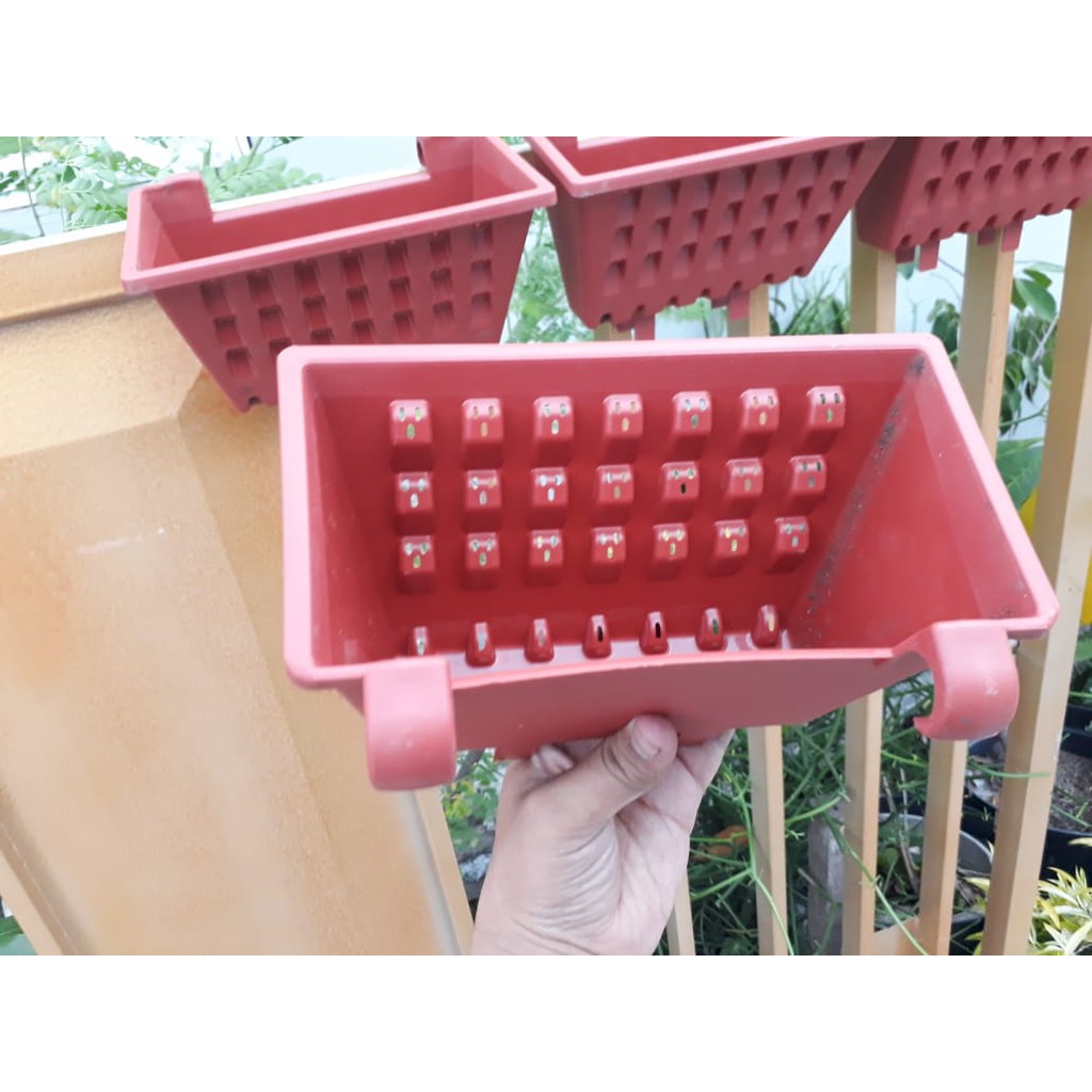 Jual Pot Gantung Argo 01 Merah 21 Cm Pot Plastik Bunga Merah | Shopee ...