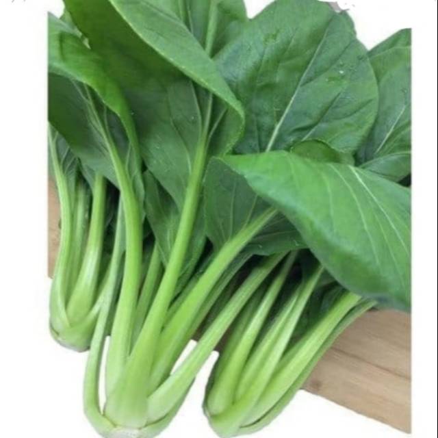 Jual Benih Sawi Hijau Cai Sim 500 biji | Shopee Indonesia