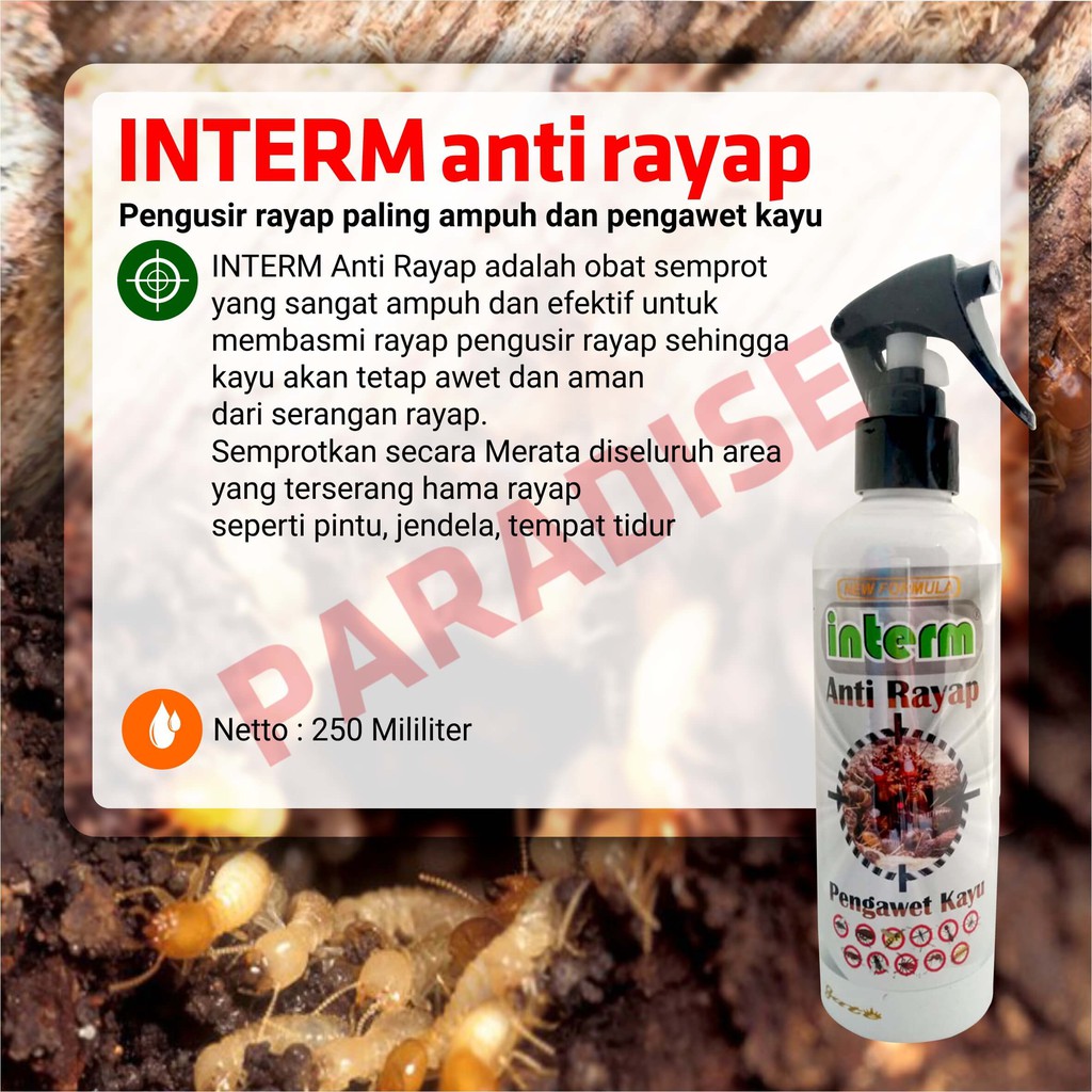 Jual Obat Cairan Anti Rayap Pembasmi Rayap Racun Semprot Kemasan 250 ml ...