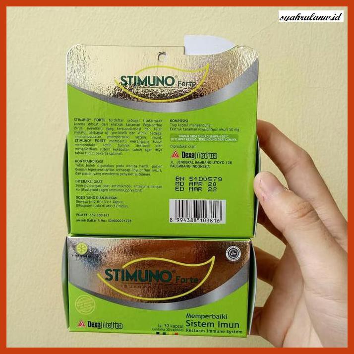 Jual ISIRTUN- STIMUNO FORTE BOTOL ISI 30 -SADA56DGR. | Shopee Indonesia