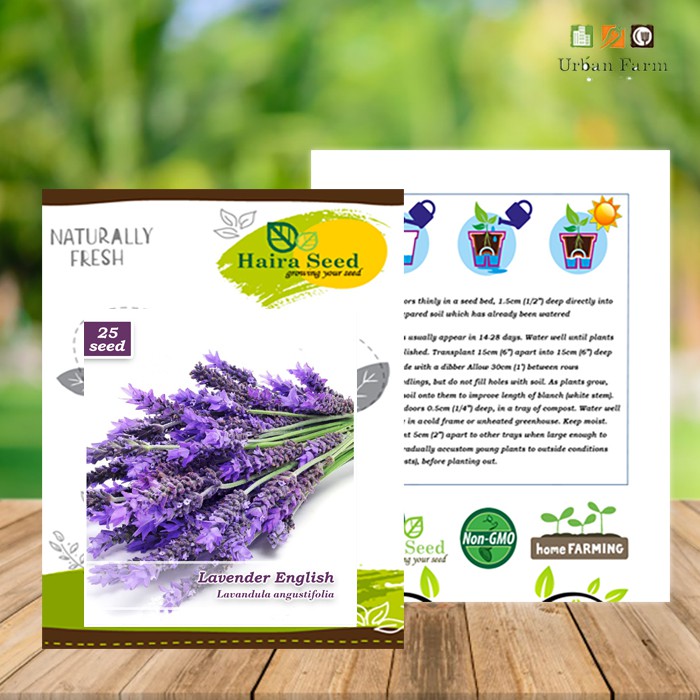 Jual Benih-Bibit Bunga Lavender English (Haira Seed) | Shopee Indonesia