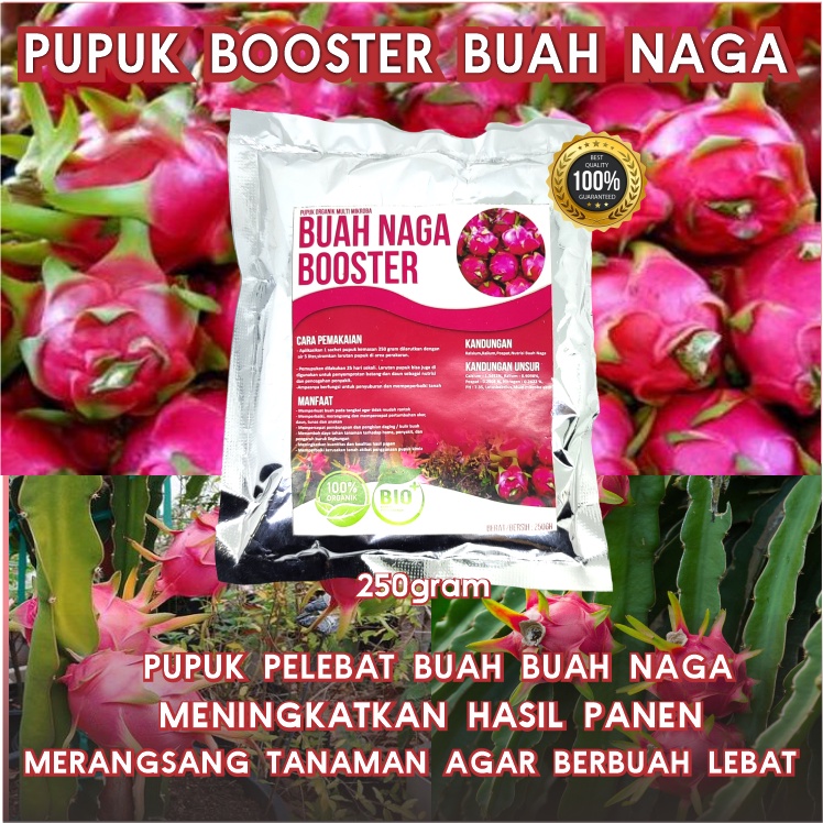 Jual Pupuk Buah Naga Organik Pelebat Naga dan Perangsang Buah Naga agar cepat berbuah lebat ...