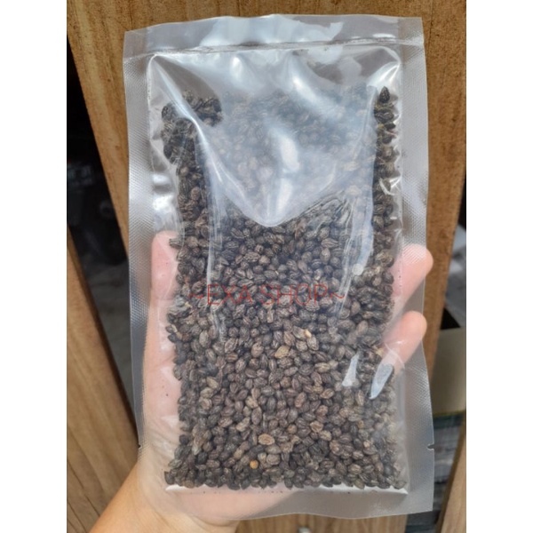 Jual BIJI PEPAYA KATES KERING / DRIED PAPAYA SEEDS 10GR | Shopee Indonesia Jual BIJI PEPAYA KATES KERING / DRIED PAPAYA SEEDS 10GR | Shopee Indonesia