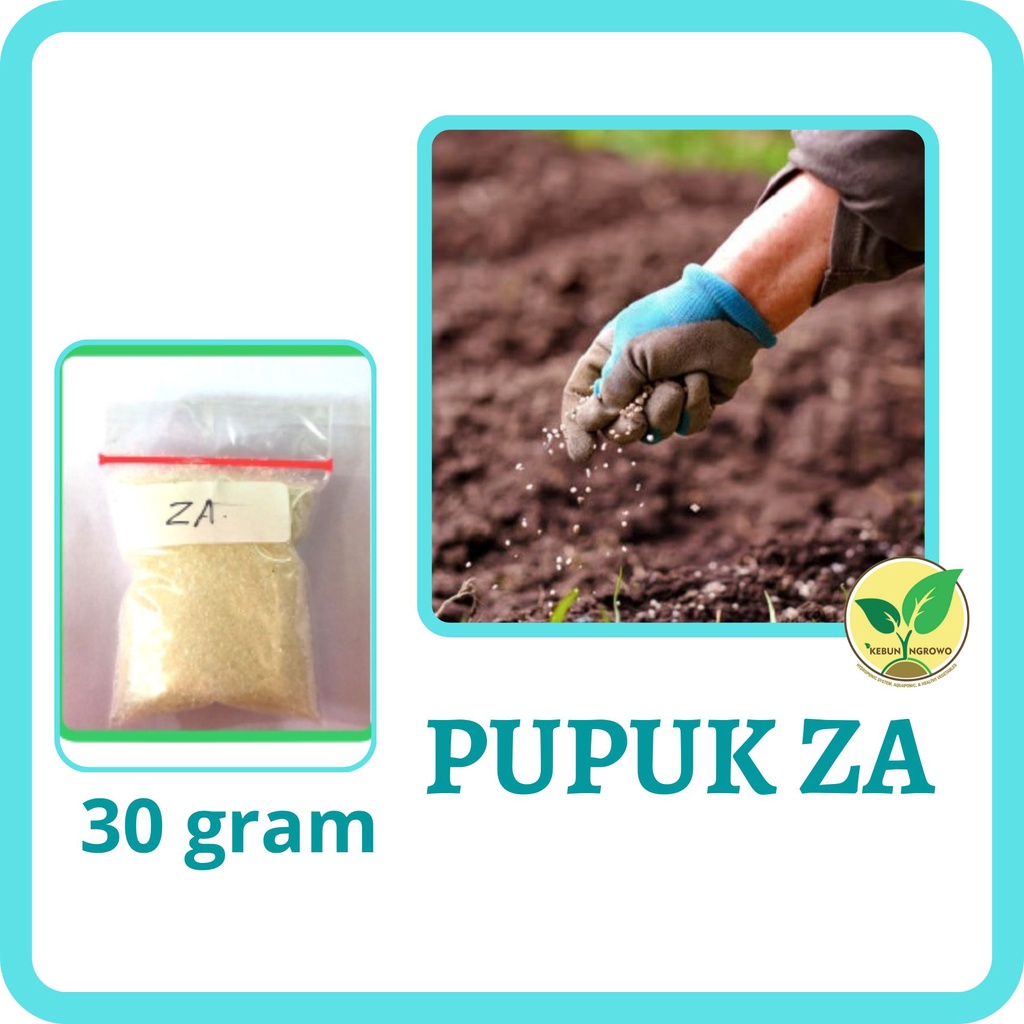 Jual Pupuk Meroke ZA Amonium Sulfat Nutrisi Pertumbuhan Tanaman Sayur ...