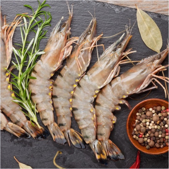 Jual UDANG WINDU / Udang Pancet / UDANG BLACK TIGER SIZE 26-30 | Shopee ...