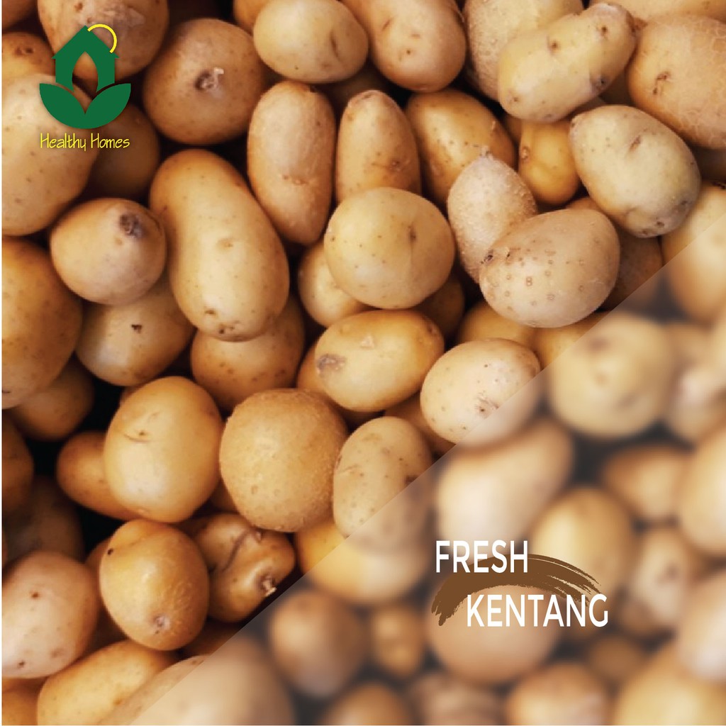 Jual Kentang Besar Bersih dan Segar Jabodetabek | Shopee Indonesia