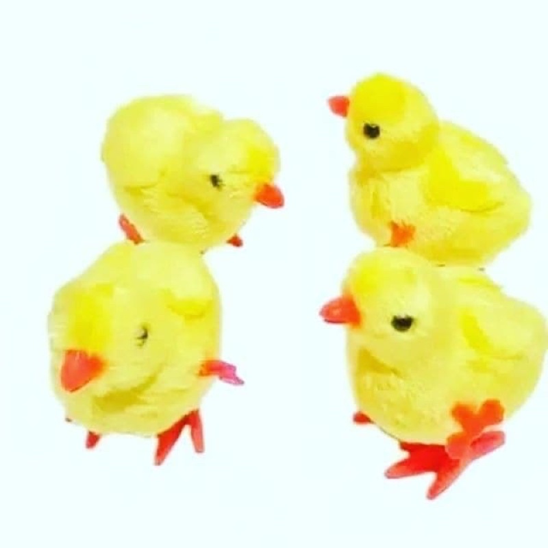 Jual Mainan Lucu Anak Ayam Kuning - Mainan Murah , Ayamnya bisa ...
