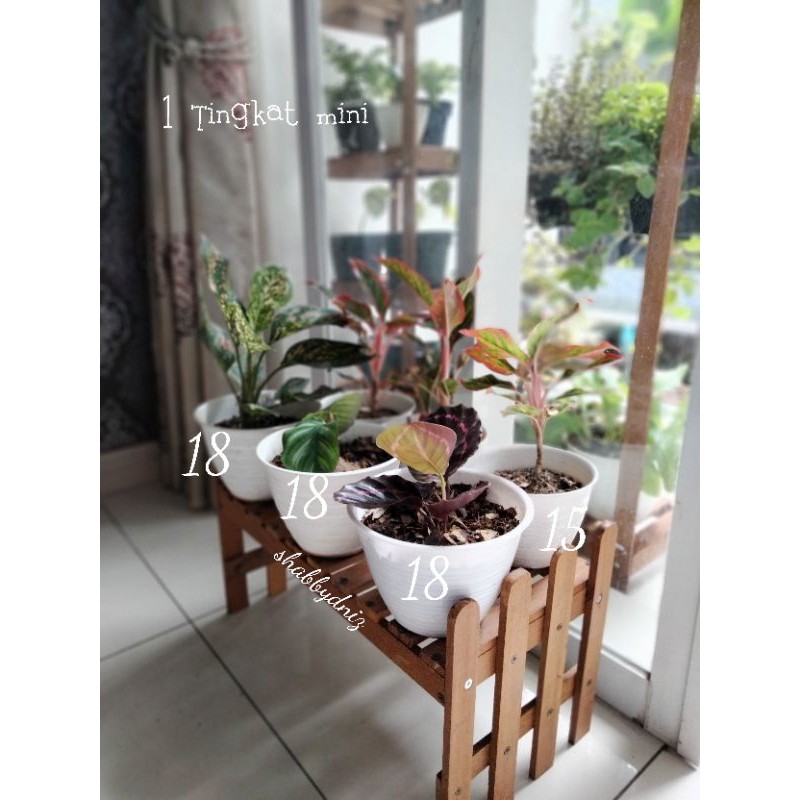 Jual Rak tangga 1 tingkat mini bahan kayu ulin | Shopee Indonesia