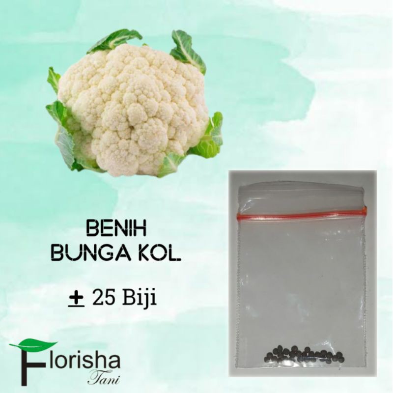 Jual Benih/Bibit/Biji Bunga Kol Kemasan Kecil/Repack | Shopee Indonesia