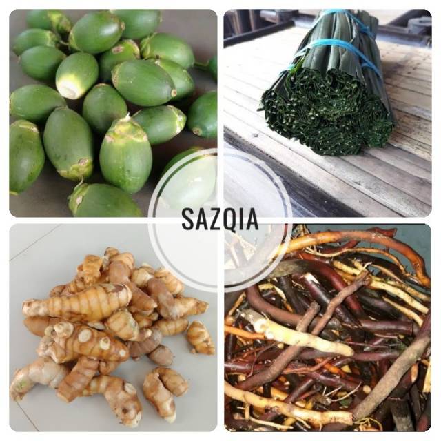 Jual PAKET OBAT HERBAL BUAH PINANG / DAUN / AKAR / KUNYIT TEMU PUTIH ...