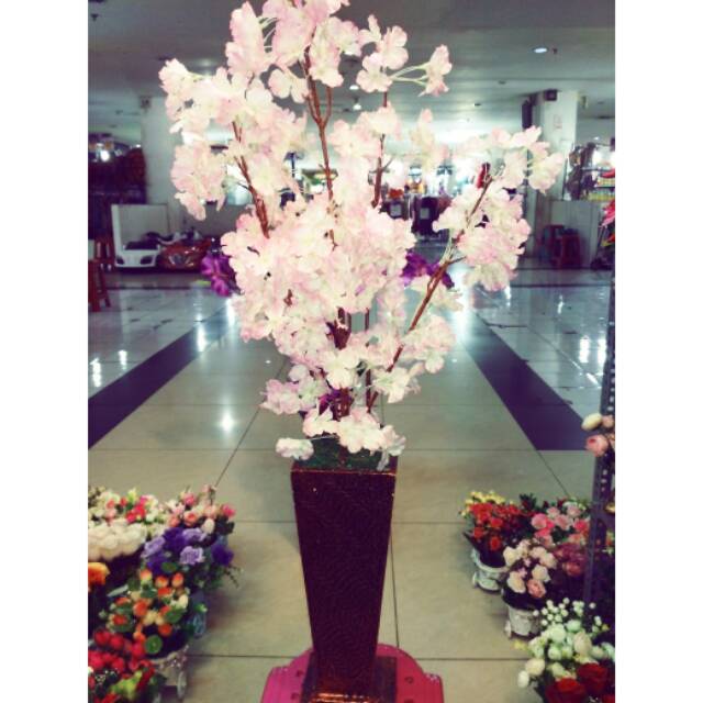 Jual Bunga sudut | Shopee Indonesia