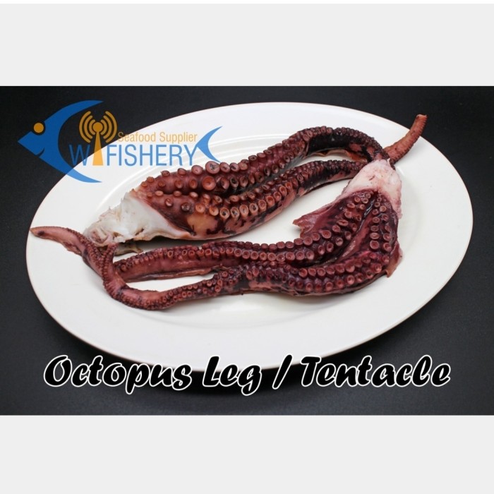 Jual Frozen Octopus Leg / Tentacle - Boiled | Shopee Indonesia