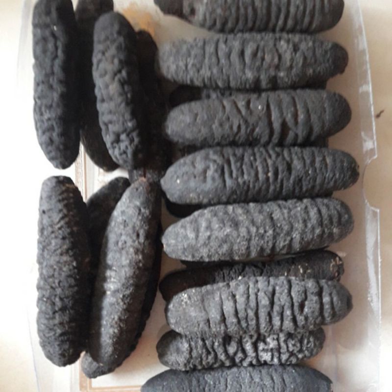 Jual Hoisom Kering Teripang Kering Asli Premium isi 30 pcs / 1 kg ...