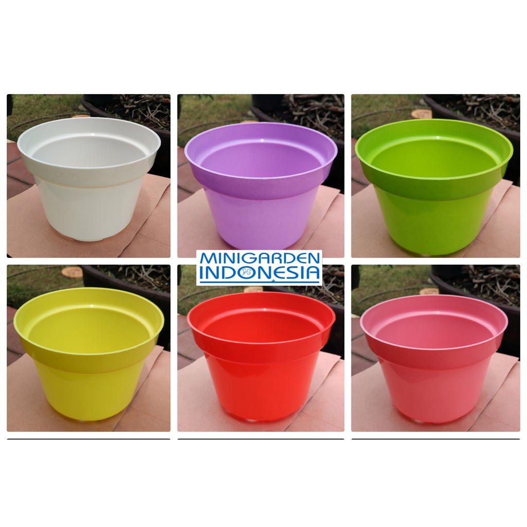 Jual Pot Bunga 17 cm Pot Semai Bonsai Bibit Bisa Hidroponik Pilih Warna ...