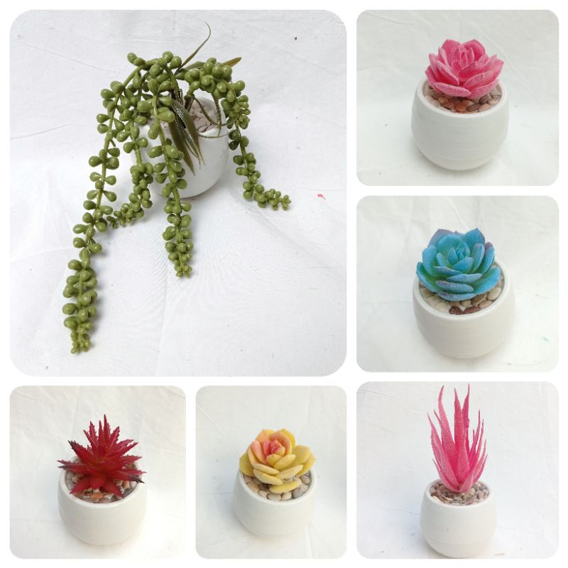 Jual Kaktus mini sukulen plastik artificial pot bola galeri bunga ...