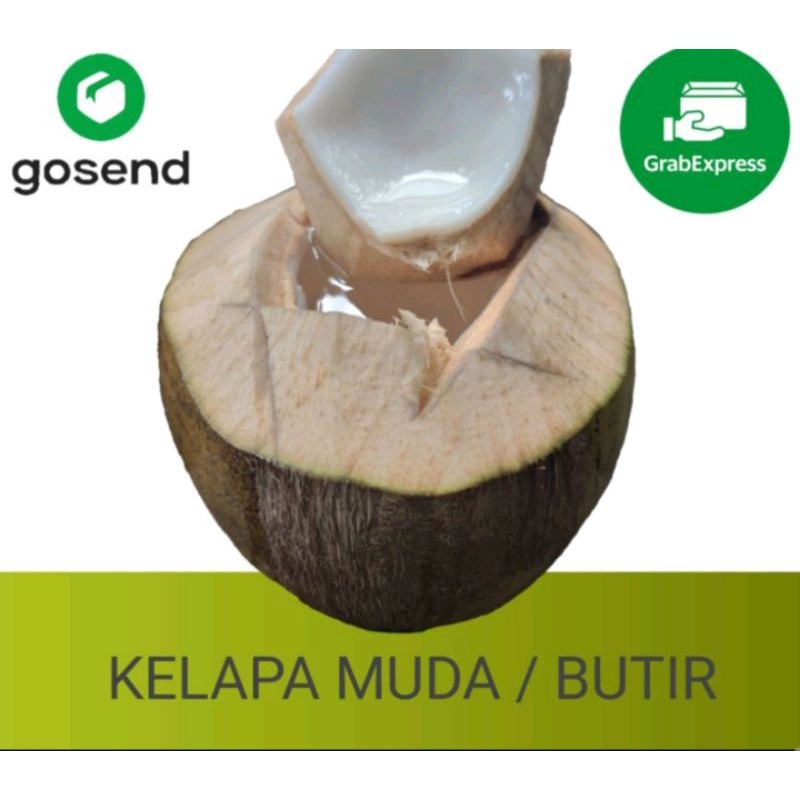 Jual Kelapa muda & kelapa ijo utuh butir.AREA TANGERANG-jakarta ...