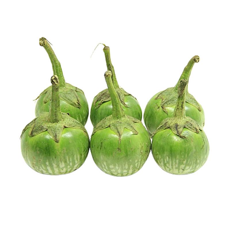 Jual TERONG BULAT 500 gram sayur sayuran lalapan segar | Shopee Indonesia